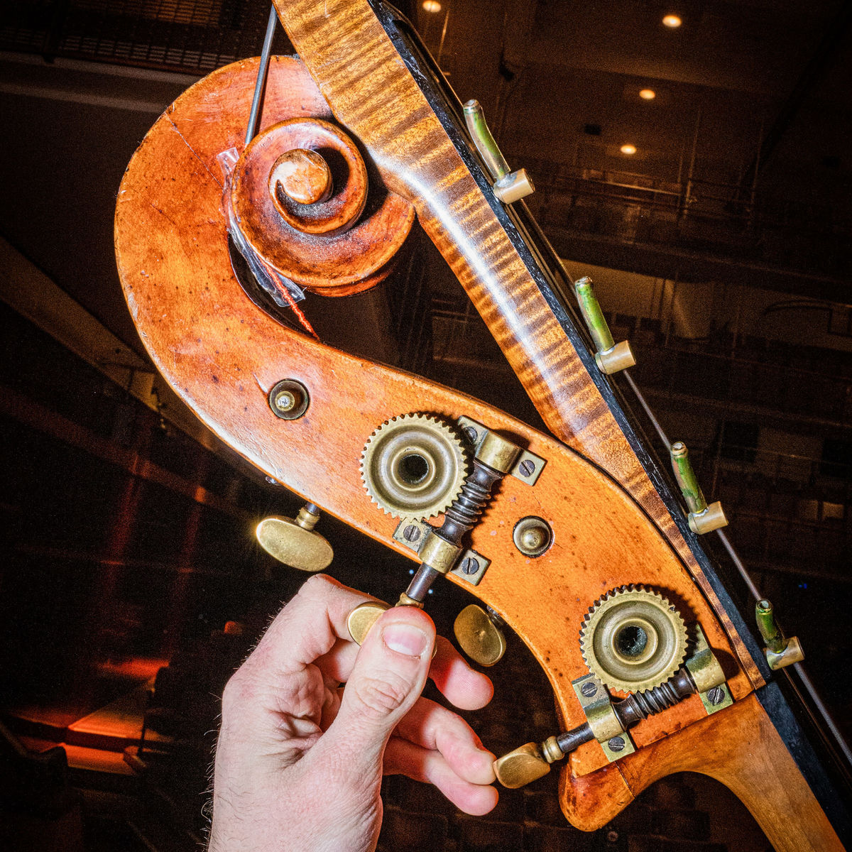 Brussels Philharmonic | the orchestra